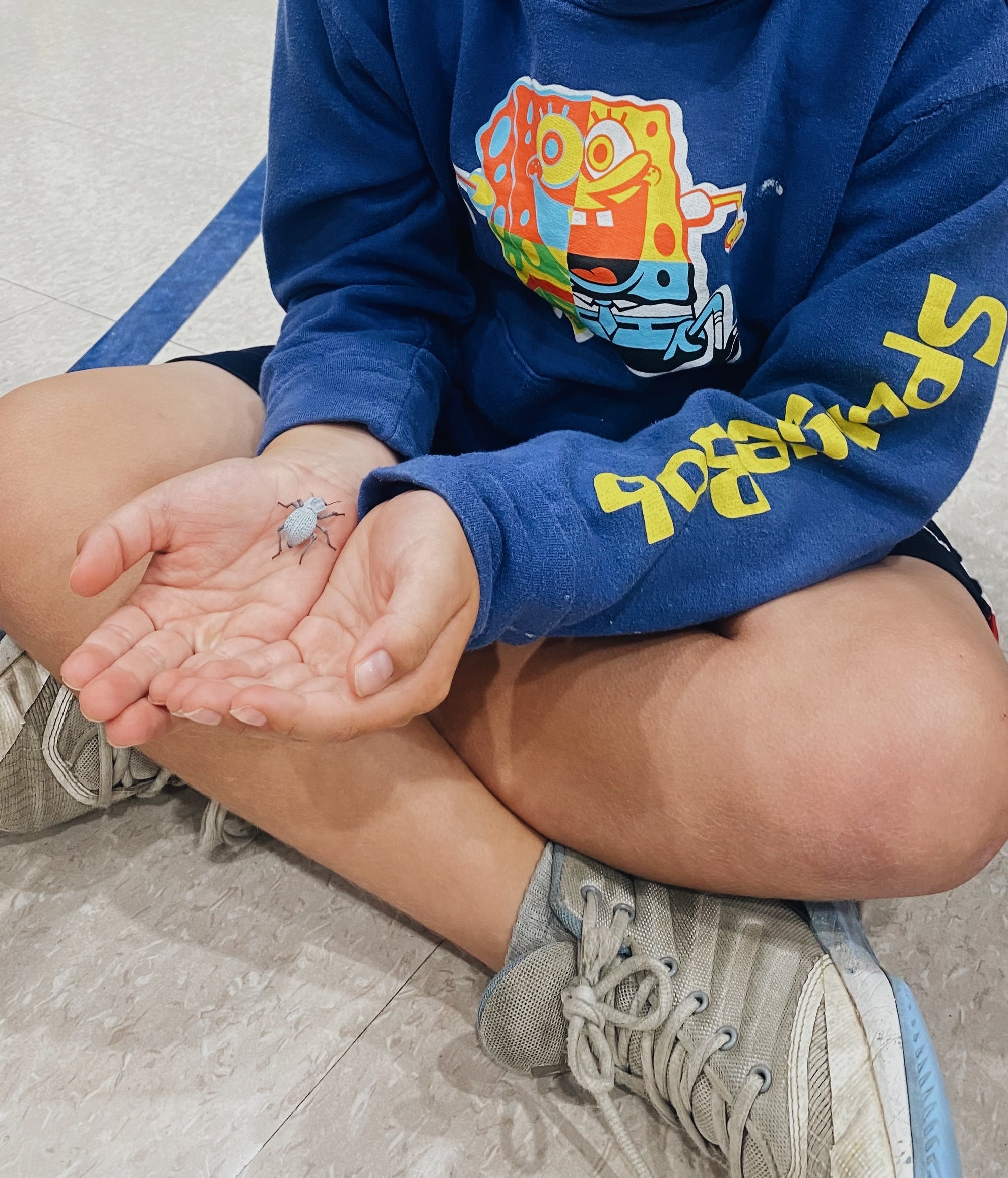 The Bug Guy – James & Son Butterfly Co.